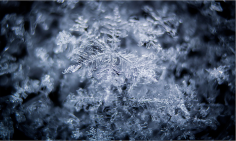 Winter Magic - Winter Magic PH