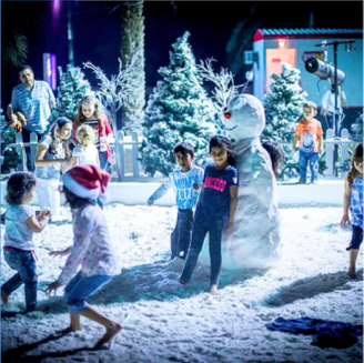 Winter Magic - Winter Magic PH