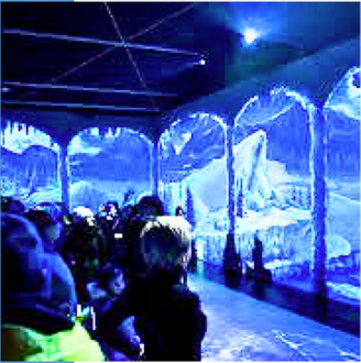 Winter Magic - Winter Magic PH