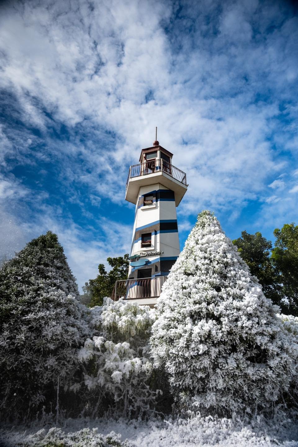 Winter Magic - Winter Magic PH