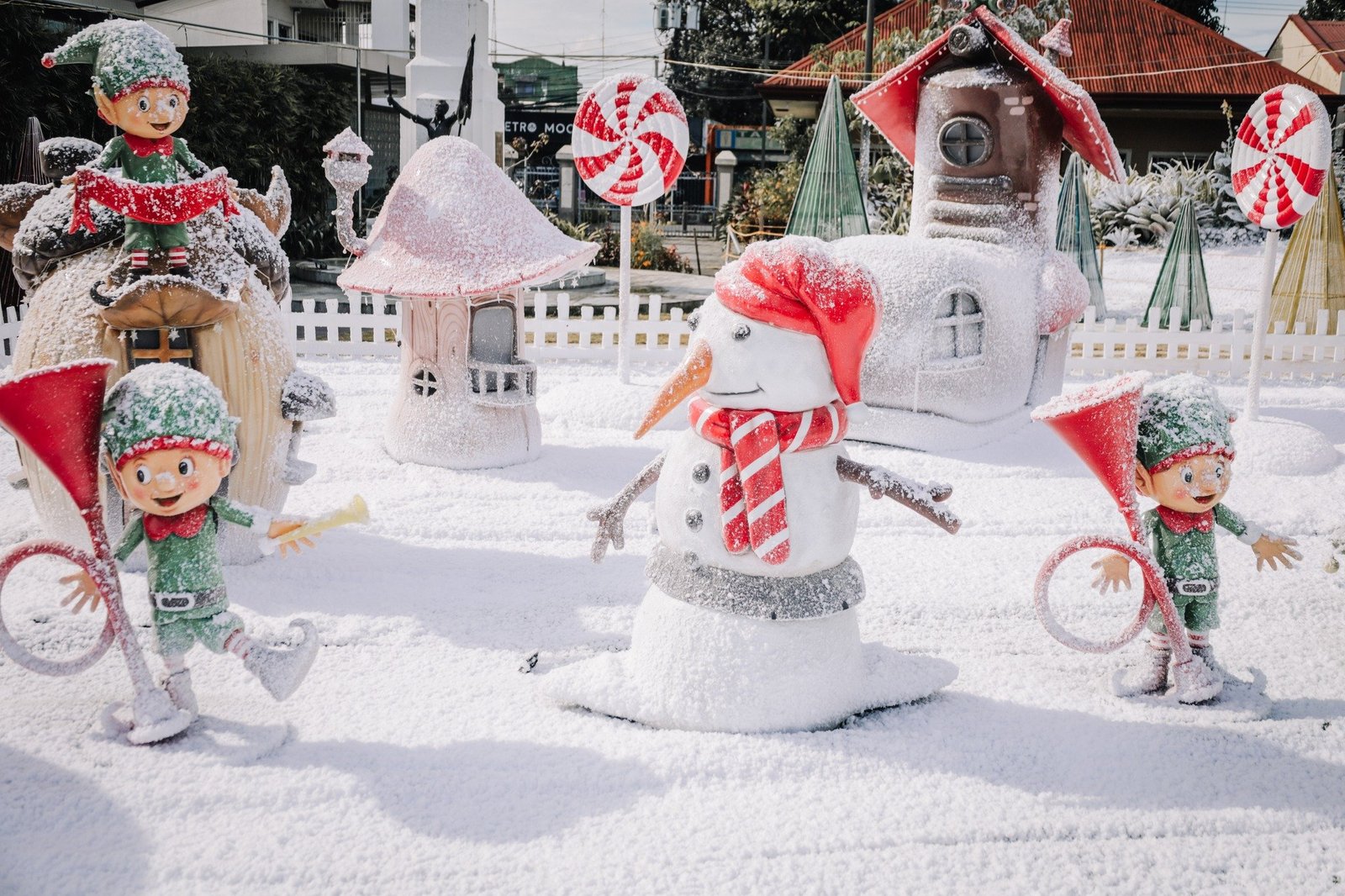 Winter Magic - Winter Magic PH