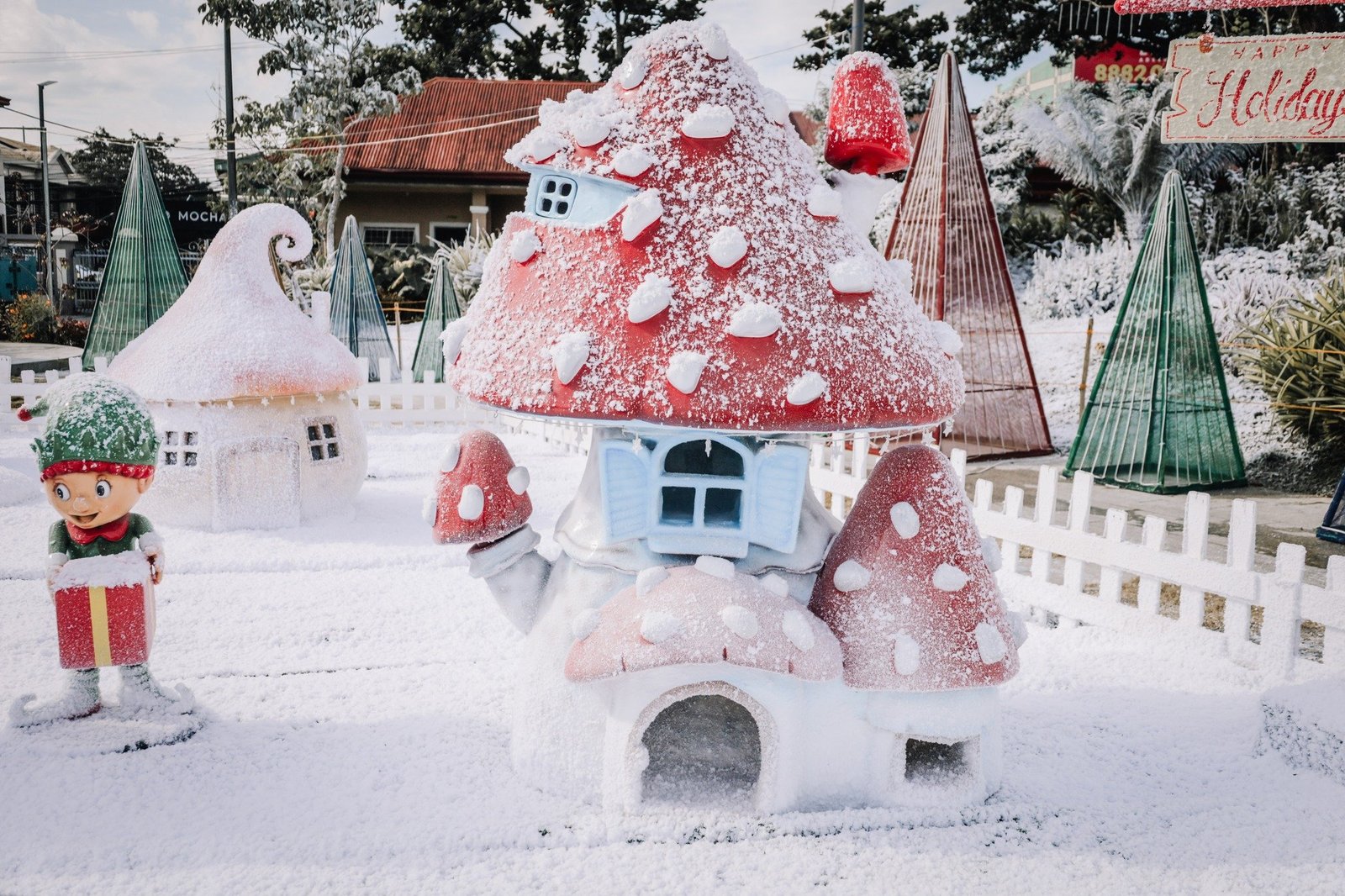 Winter Magic - Winter Magic PH