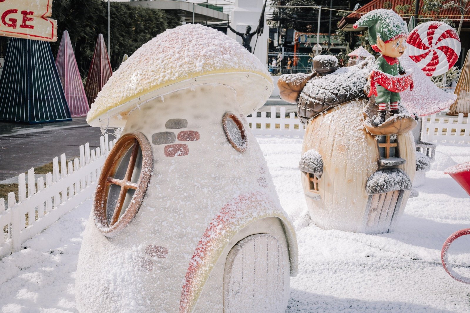 Winter Magic - Winter Magic PH